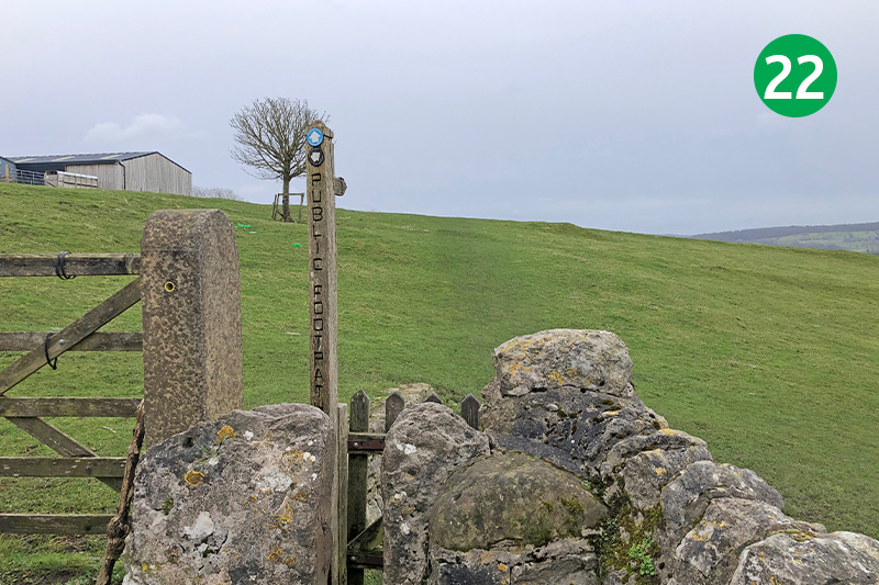 Bakewell > Lathkill Dale: 9mls | Monsal Trail