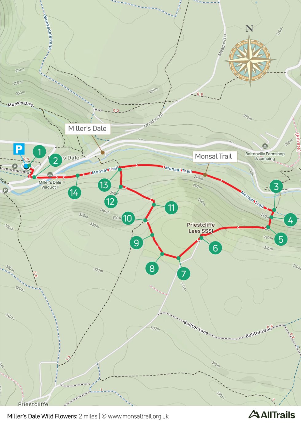 26. Miller's Dale wild flowers - Monsal Trail